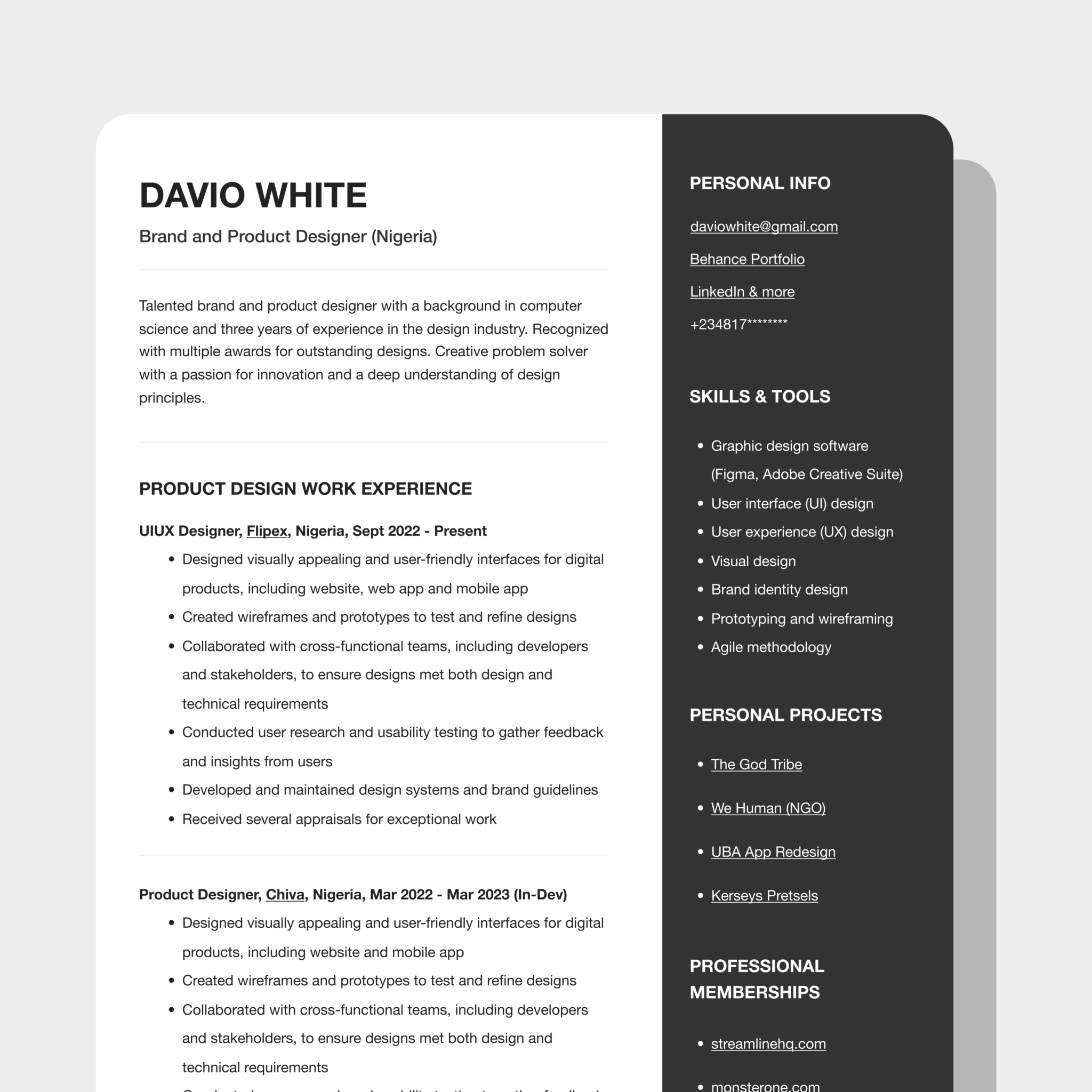 Davio White’s CV Template 2023 – Dreamax